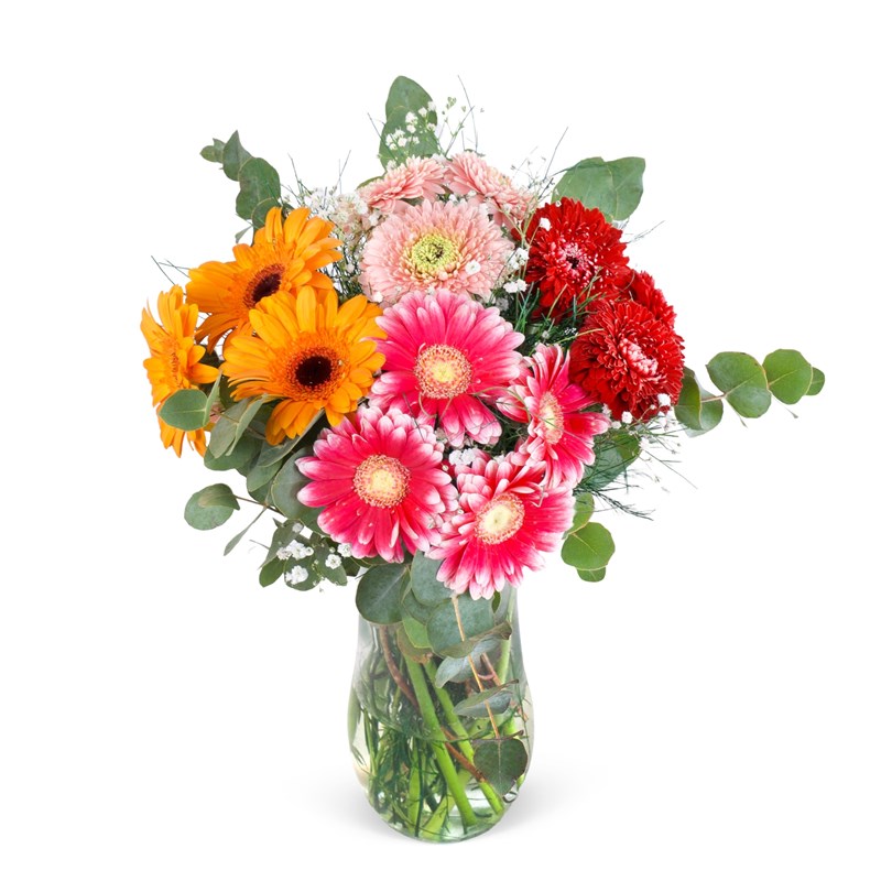 Renkli Gerbera Aranjmanı | İstanbul Çiçekleri